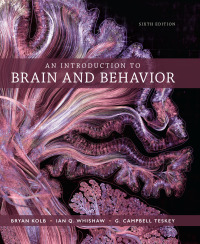 An Introduction to Brain and Behavior 6th Edition – PDF ebook* – Ebooks ...